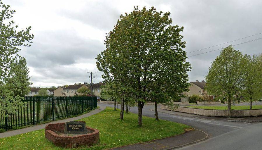 Trees in council estates around Portlaoise will be pruned when funding ...