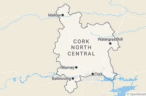 Crucial constituencies: Cork North-Central profile – Candidates and ...