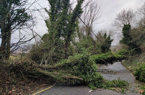 Laois councillors castigate Coillte and Uisce Éireann following storm ...