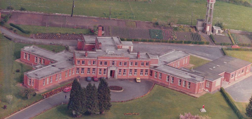 HSE gives green light for headstone at tragic Laois burial site - News ...