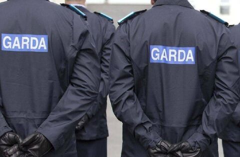 Kildare woman with expired tax on car called Laois gardaí ‘pigs’ - News ...