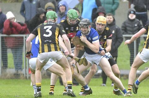 A weary Laois are no match for the fresh Cats - Homepage - Laois ...